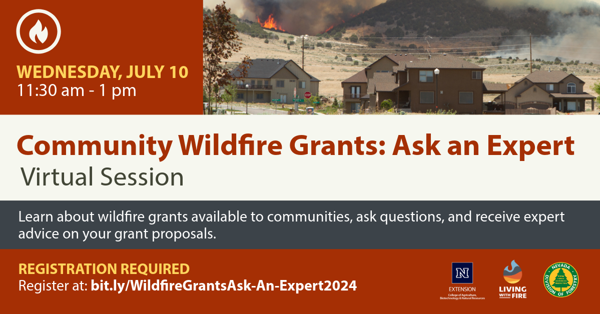 July 10 | Community Wildfire Grants: Ask an Expert (Virtual Session ...